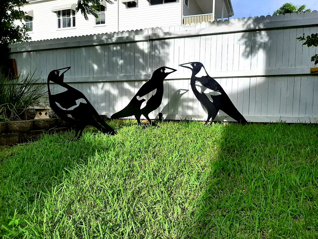 Magpies | Focal Point Water Features