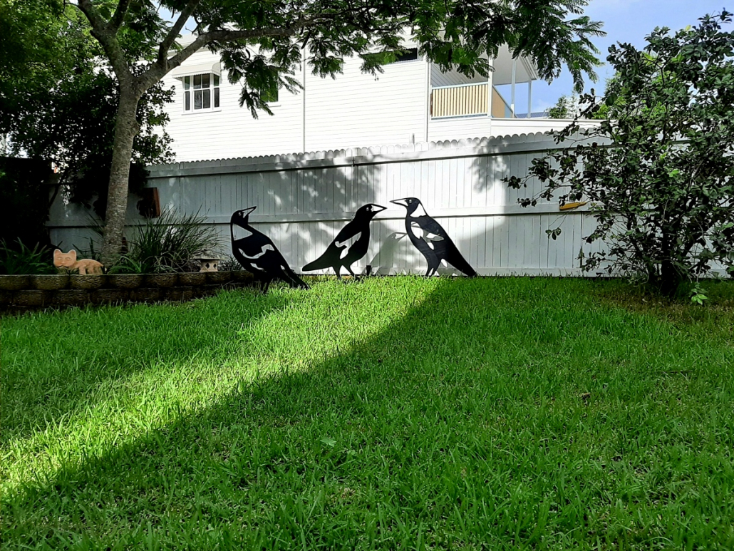 Magpies | Focal Point Water Features